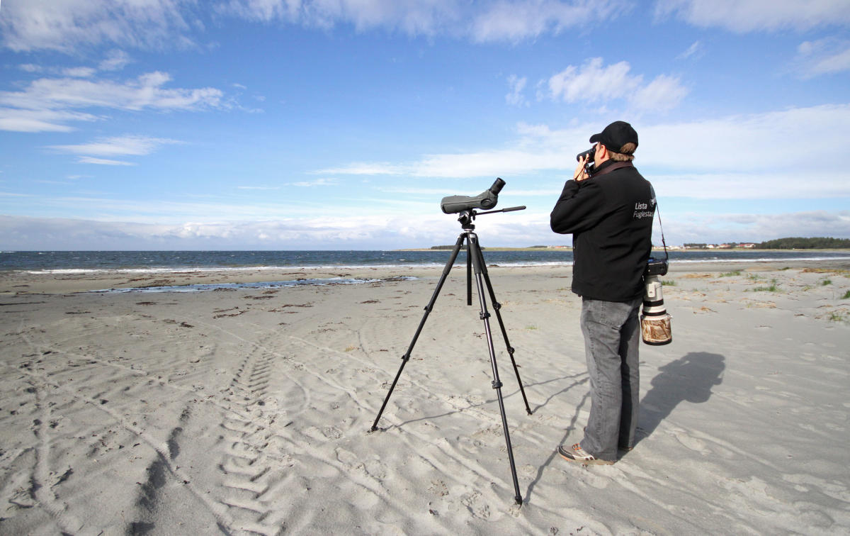 Lista Bird Observatory - Bird watching in Lista | Nature Attractions ...