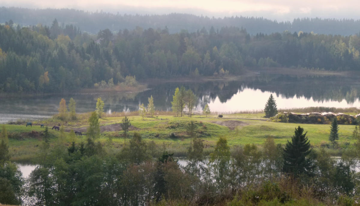 Fishing trips in Lunner | Fishing | Lunner | Norway