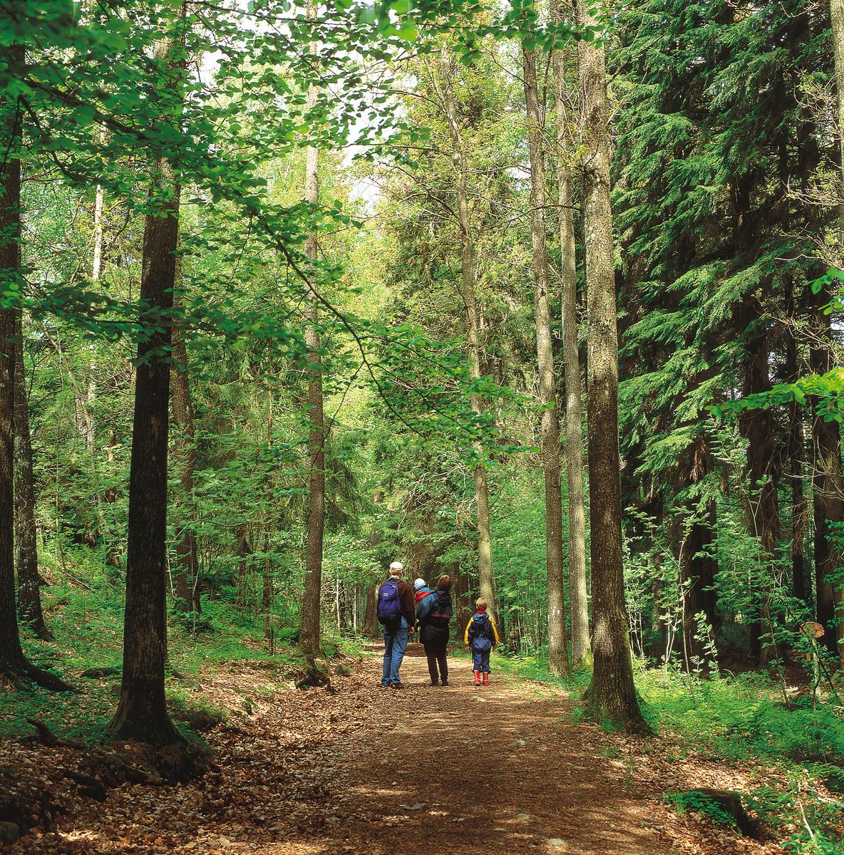 Experience Nordskogen Arboretum, Norway