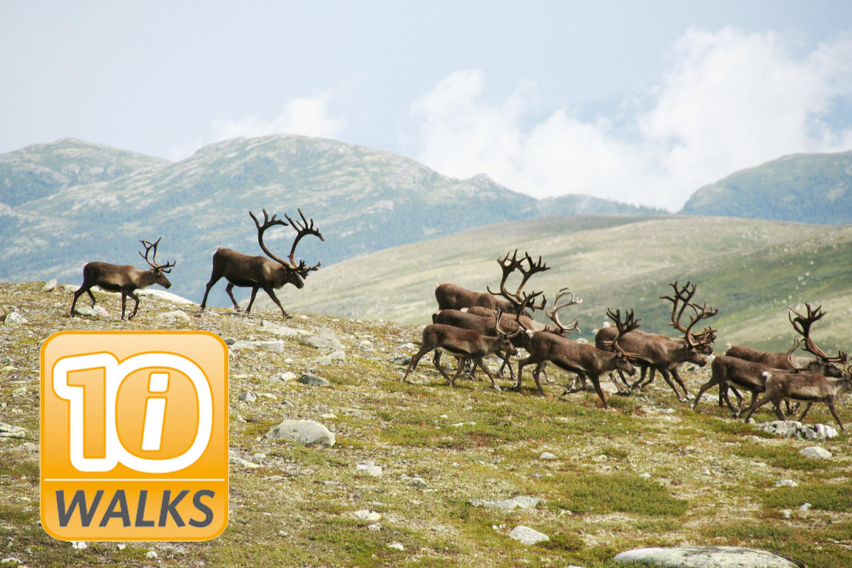 Høgevarde - 10 Iconic Walks