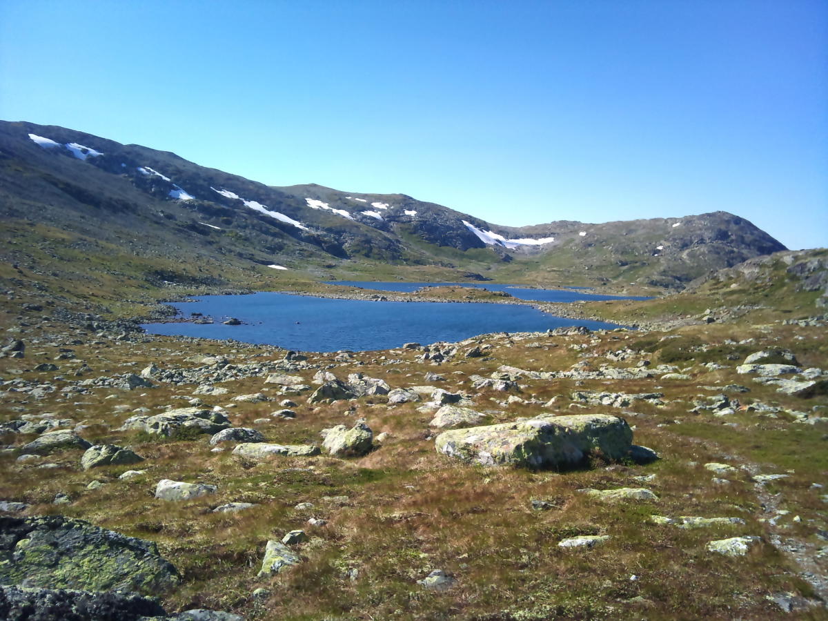Hellebu - Reinsbotnan Ål i Hallingdal | Hiking | Ål | Norway
