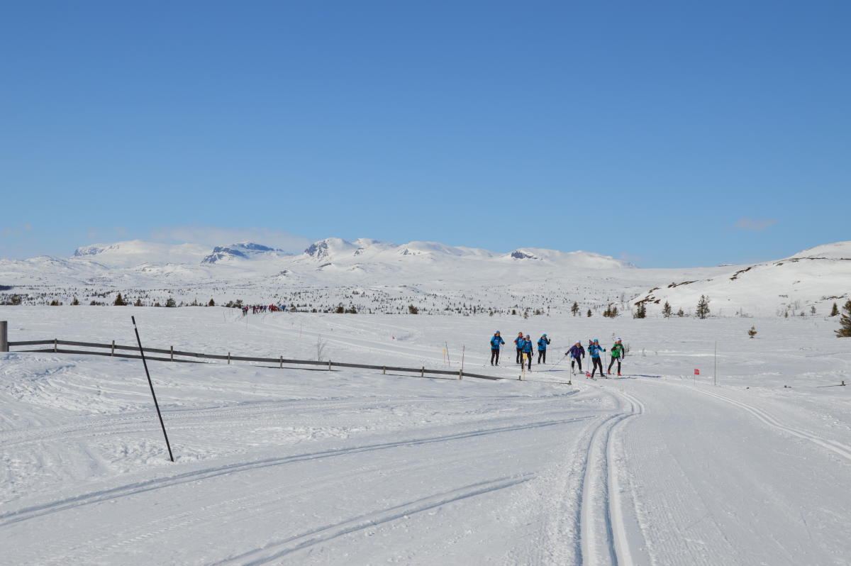 The Hallingdal track | Skiing | Ål | Norway