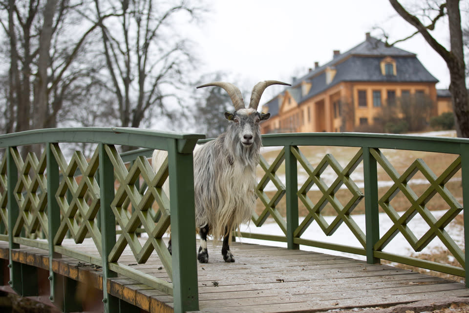 Bogstad gård | Buildings & Monuments | Oslo | Norway