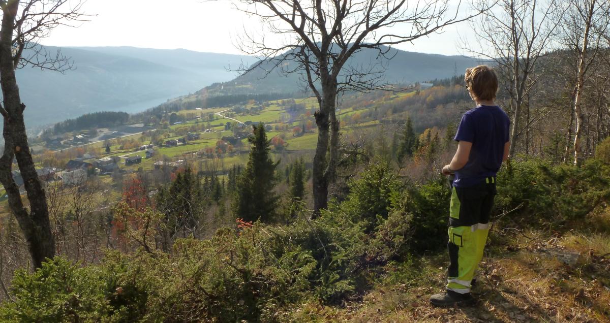 Hellingstølen Ål in Hallingdal