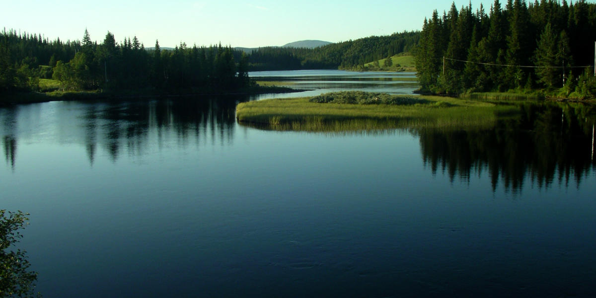 Fishing in Verdal | Other sports | Verdal | Norway
