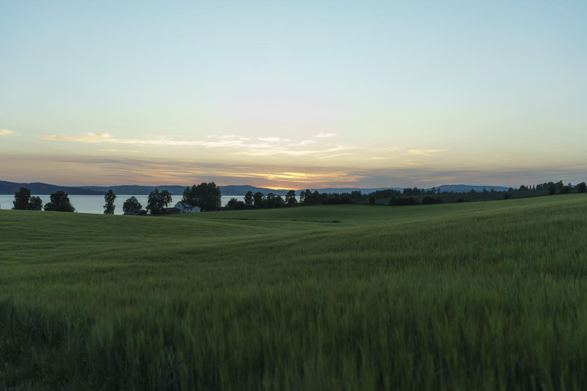 Stange Vestbygd | Nature Attractions | Ottestad | Norway