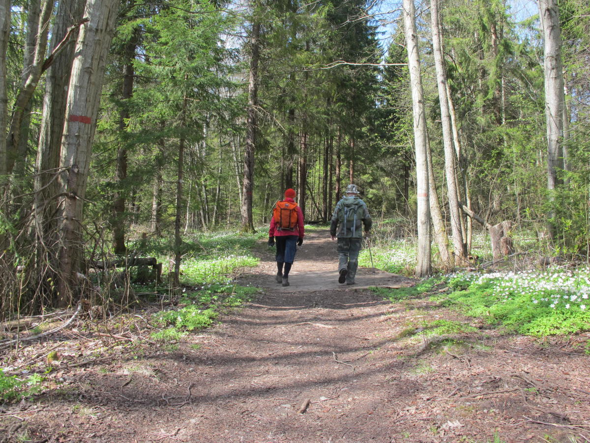 The Pilgrim’s Route through Bærum | Biking | Lysaker | Norway