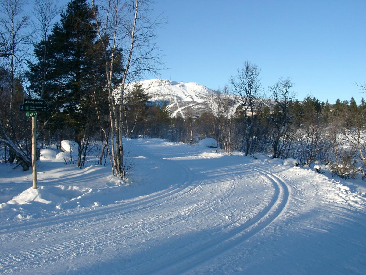 Training and exercise | Skiing | Hovden i Setesdal | Norway