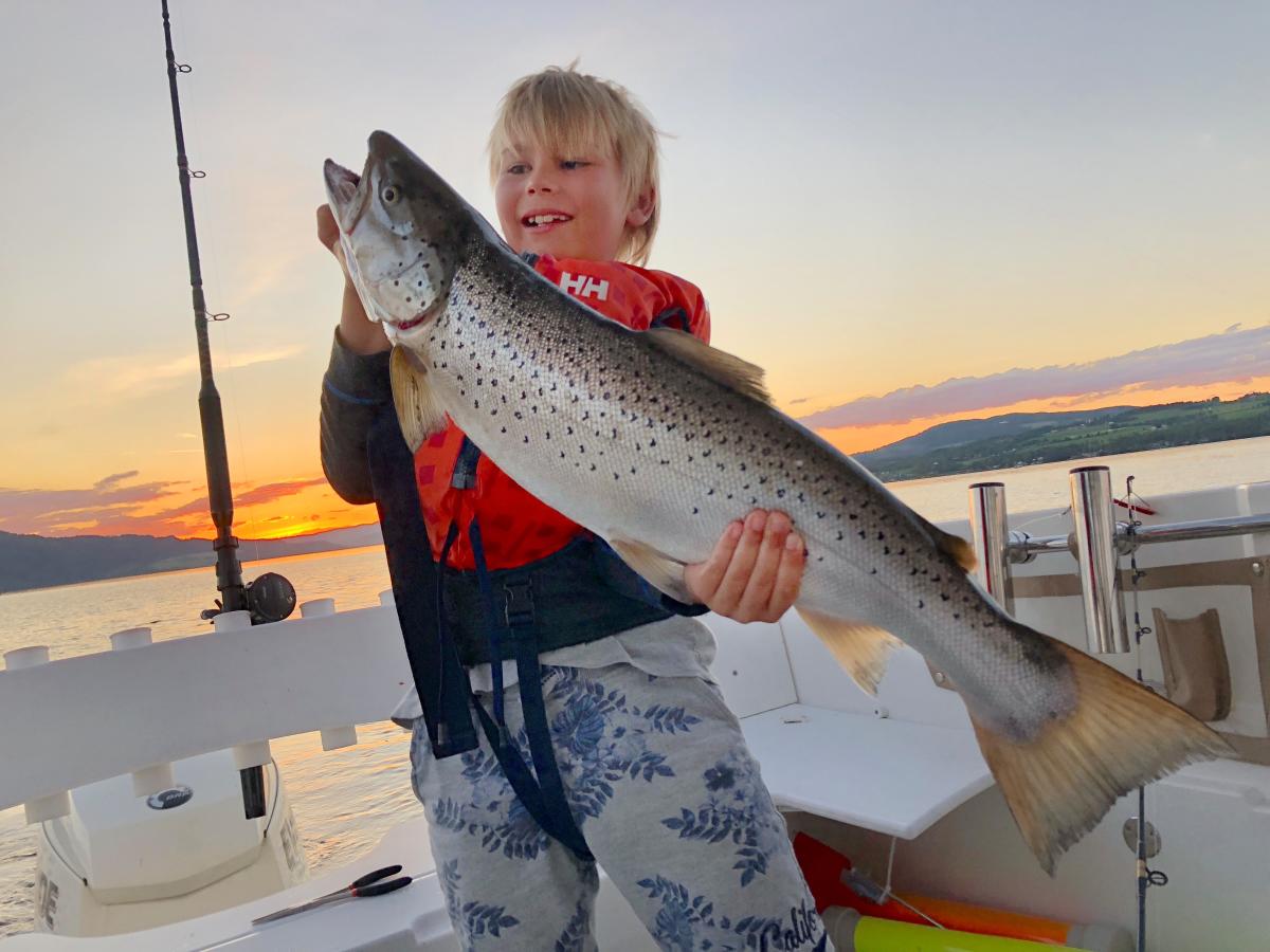 Fiske i Mjøsa og Hamarregionen | Fishing | Hamar | Norway