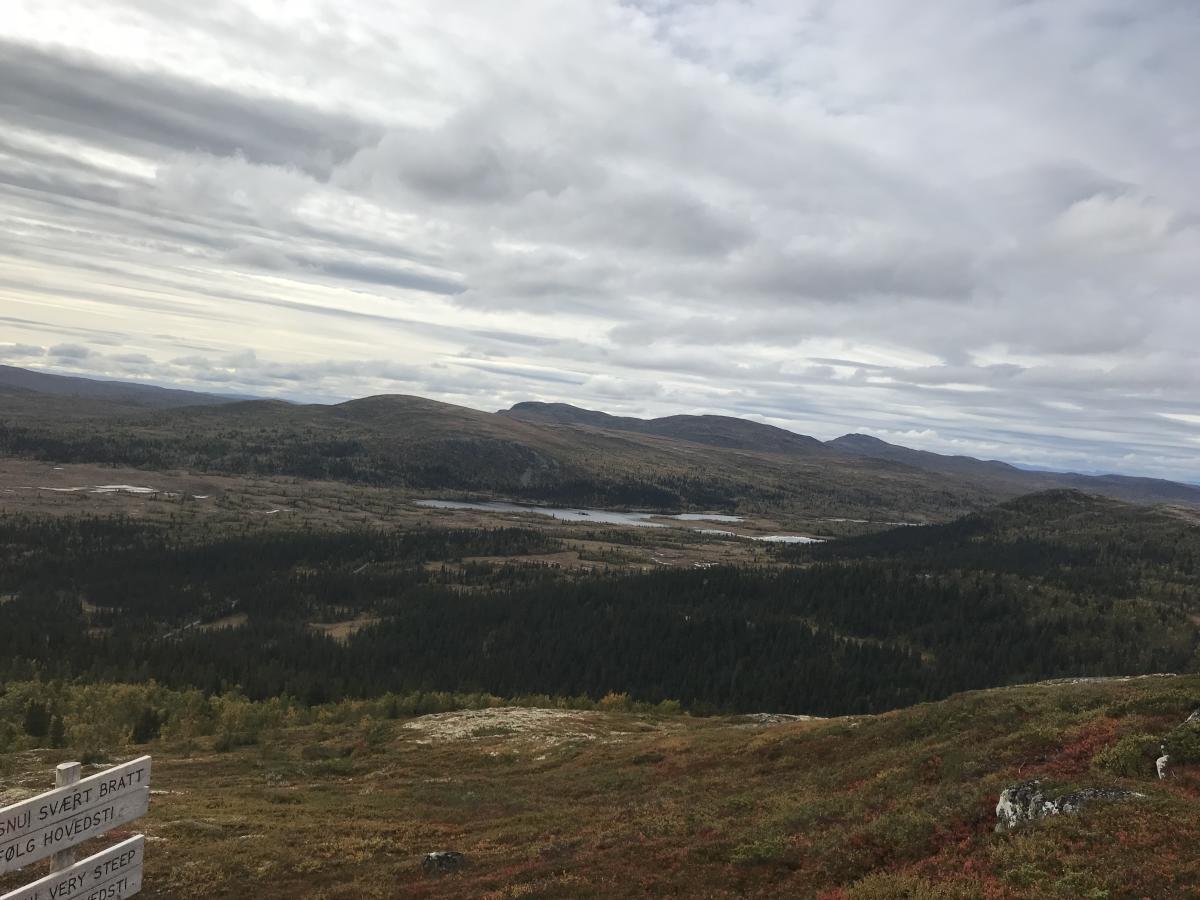 Røssjøkollane 1287 m a.s.l. | Tour Suggestions | Nord-Torpa | Norway