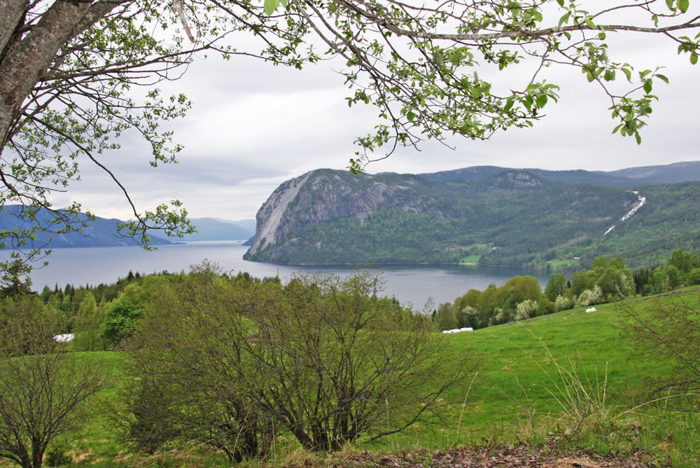 Våmur View Point | Nature Attractions | Fyresdal | Norway