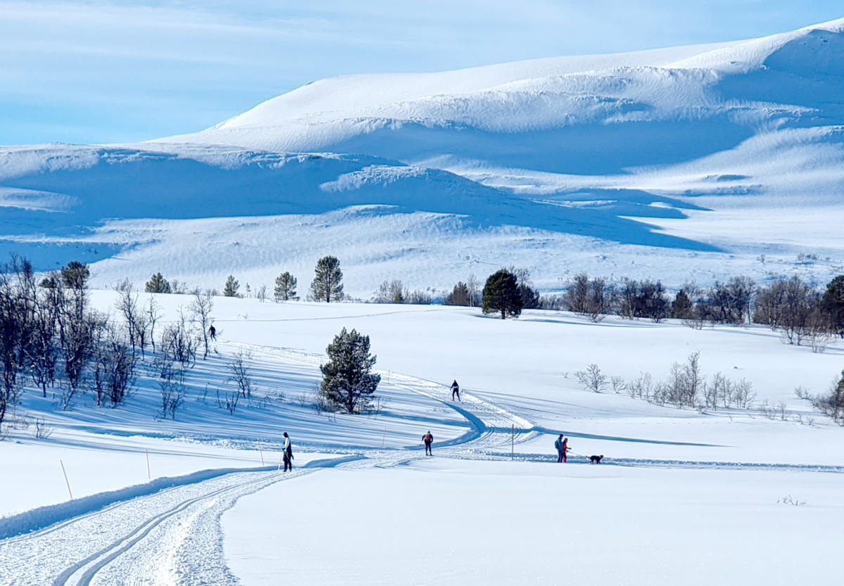 Gjevilvassdalen | Skiing | Oppdal | Norway