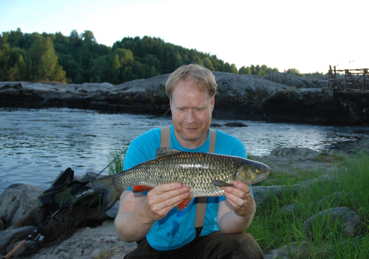 Fishing places in Øyern and Glomma | Fishing | Trøgstad | Norway