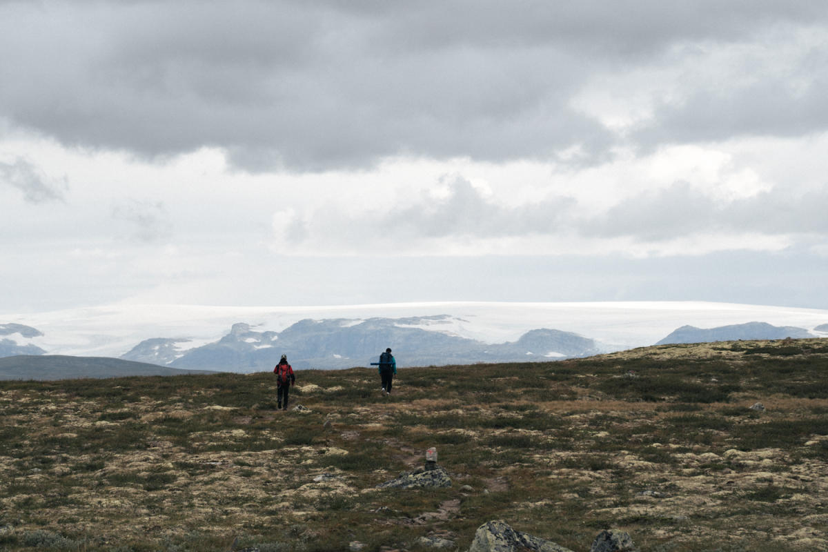 hardangervidda vinter vei
