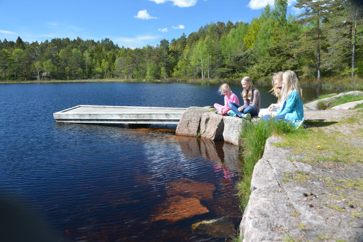 Floodlit trail at Fevik | Hiking | Fevik | Norway