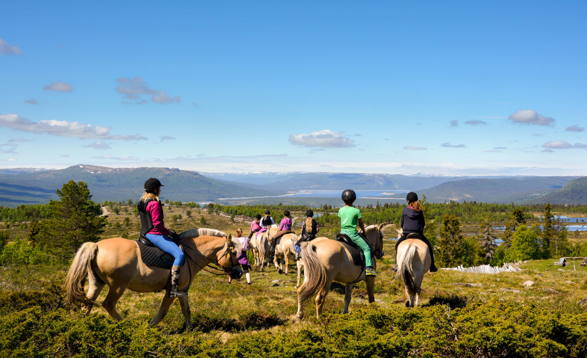 Horse riding at Langedrag | Riding & Sledging | Nesbyen | Norway