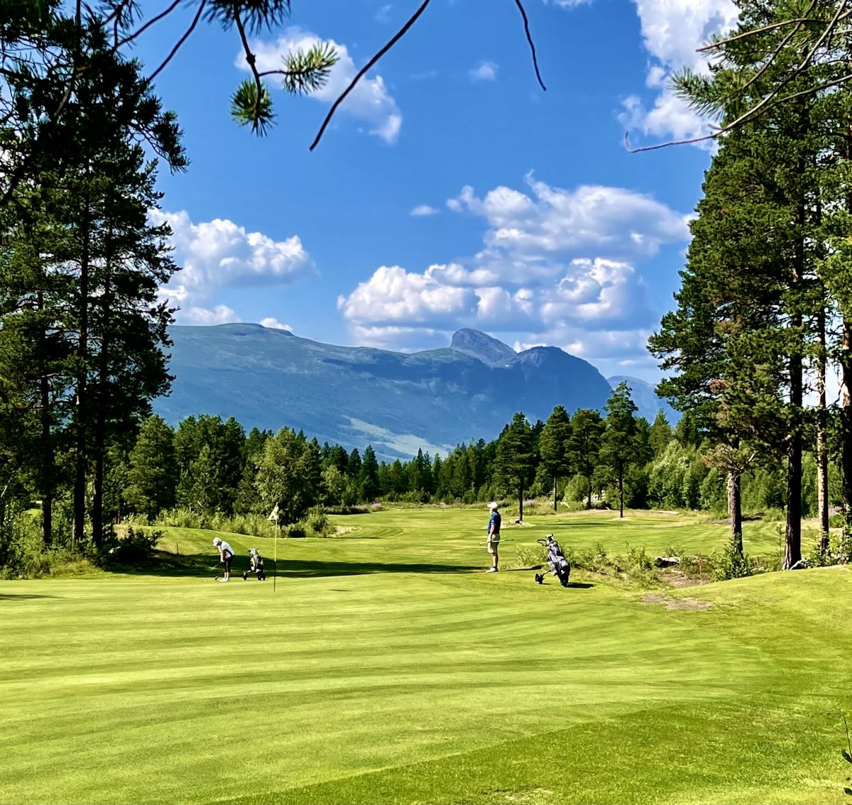 Hemsedal Golfalpin Golfbane | Golfing | Gol | Norway