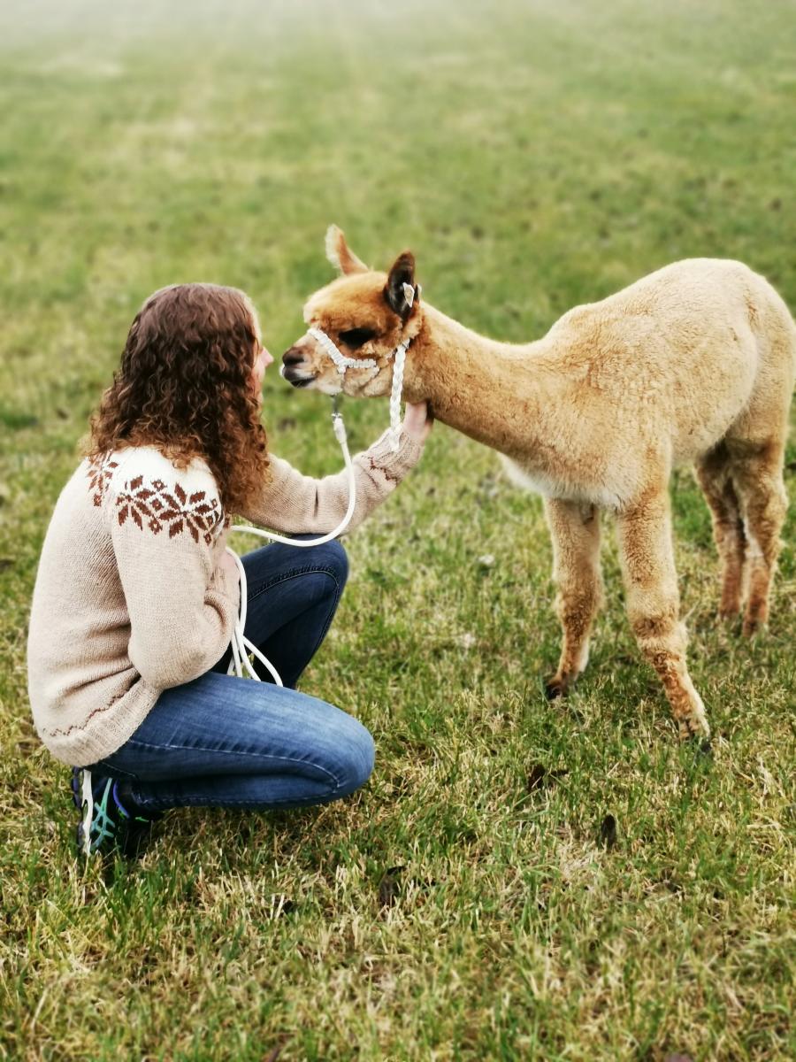 Nilsstua Alpaca Garden | Nature Attractions | Hurdal | Norway