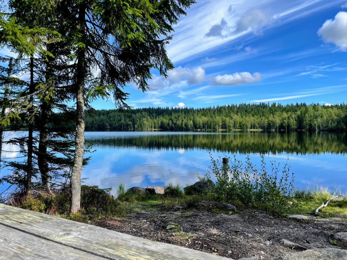 Sykkeltur på Romerike fra hotellene rundt Oslo Lufthavn