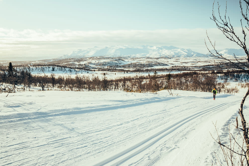 Langrenn på Rauland | Skiing | Rauland | Norway