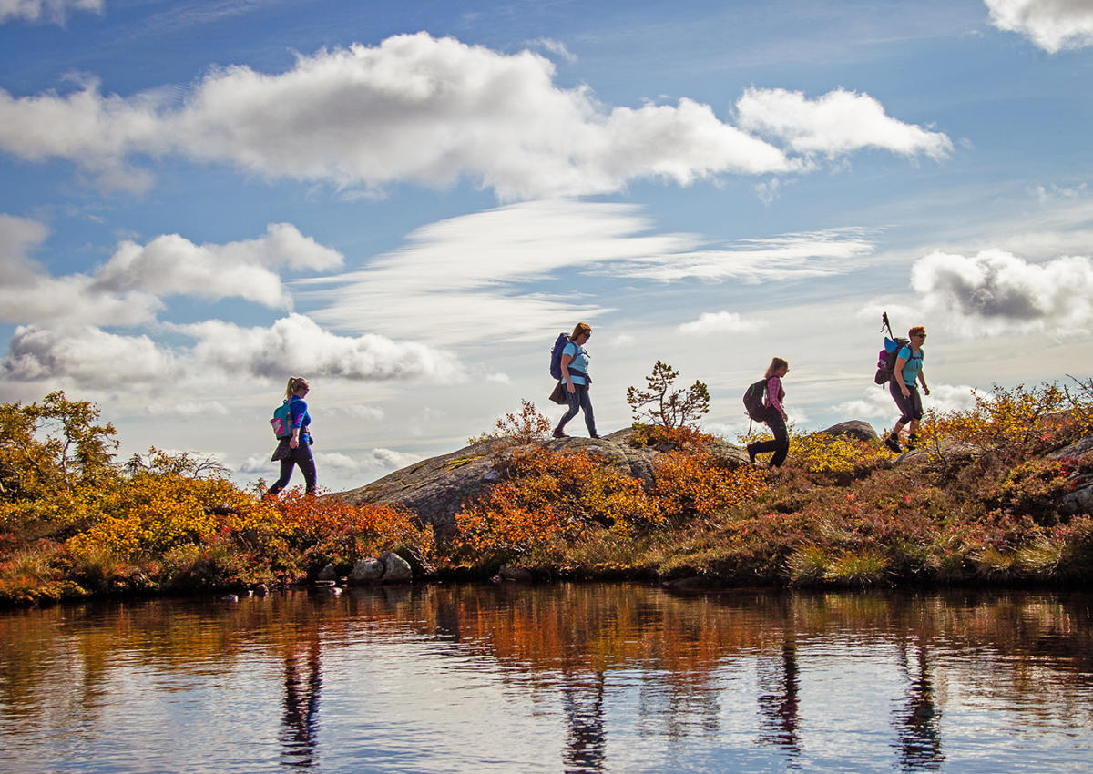 Hægefjell Nissedal | Hiking | Nissedal | Norway