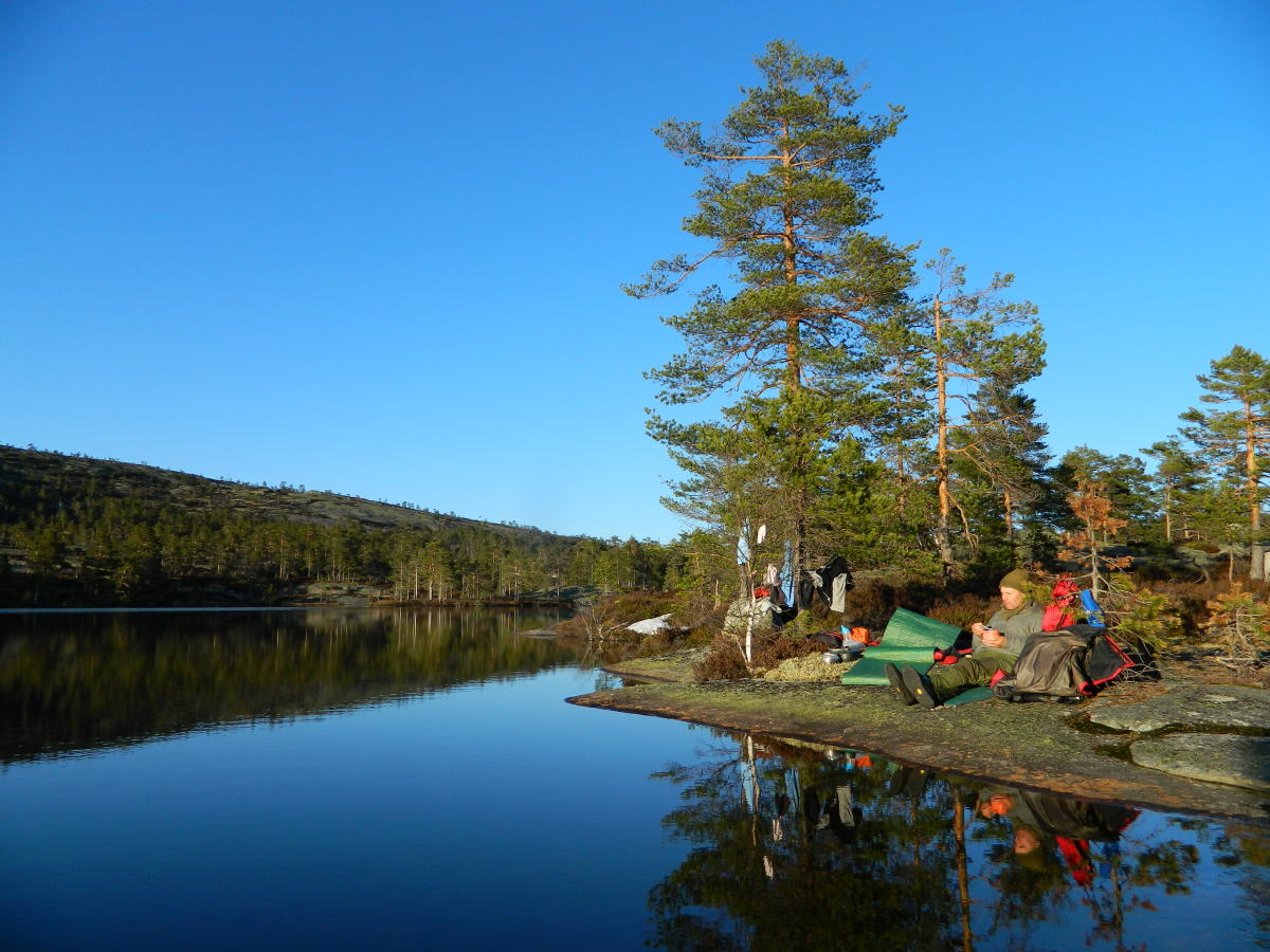 Gjerstad Statskog | Nature Attractions | Gjerstad | Norway