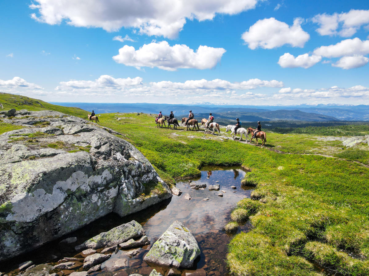 Horse riding in Nesbyen | Riding & Sledging | Nesbyen | Norway