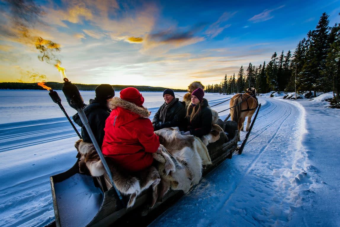 Sleigh rides near Sjusjøen | Action & Adventure | Mesnali | Norway