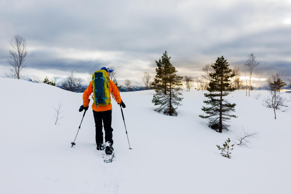 Snowshoe Hiking with Norway Mountain Guides
