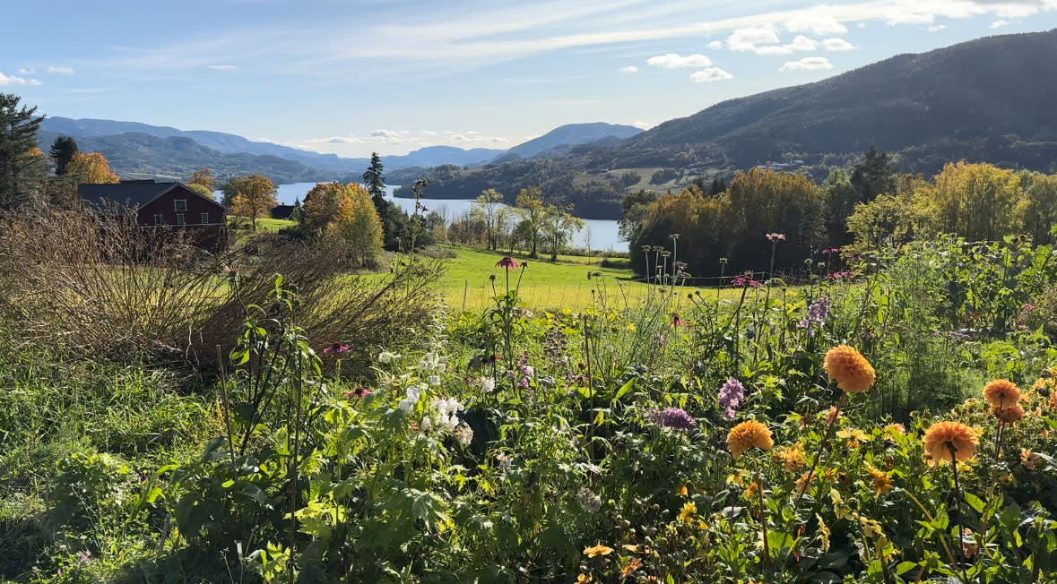 Nordre Ramberg Gård | Food Traditions | Notodden | Norway