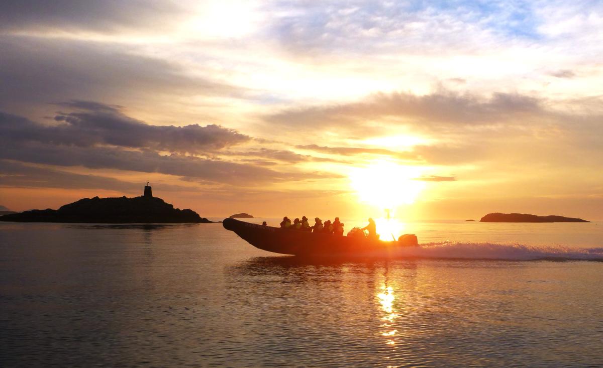 City sightseeing from the sea with B&B Touring | Sightseeing | Harstad ...