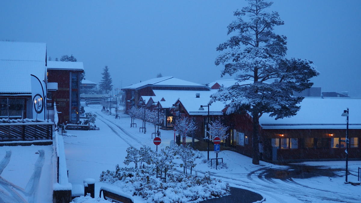 Ålingen Kjøpesenter | Shopping Center | Ål | Norway