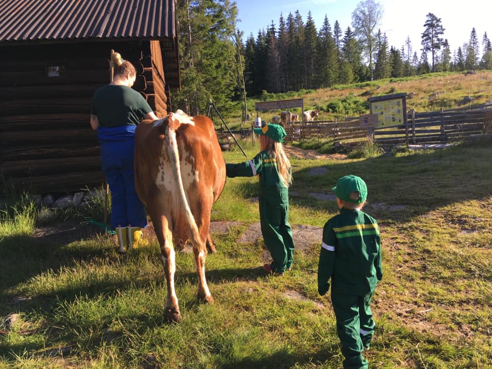 Nordgardsetra 4H seter | Farm Activities | Steinsholt | Norway