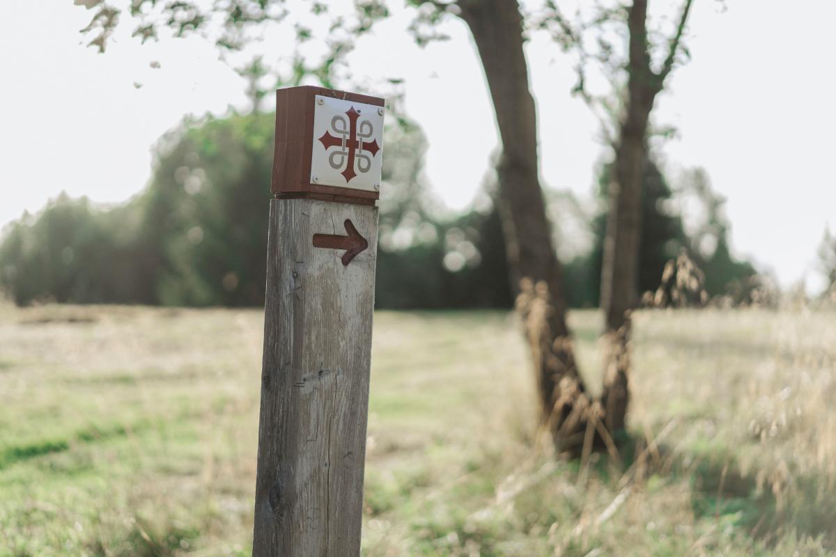 Pilgrim's Path