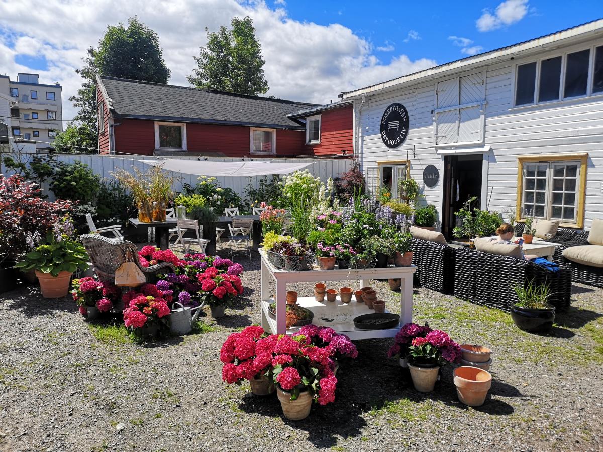 Posebyhaven in Kristiansand old town