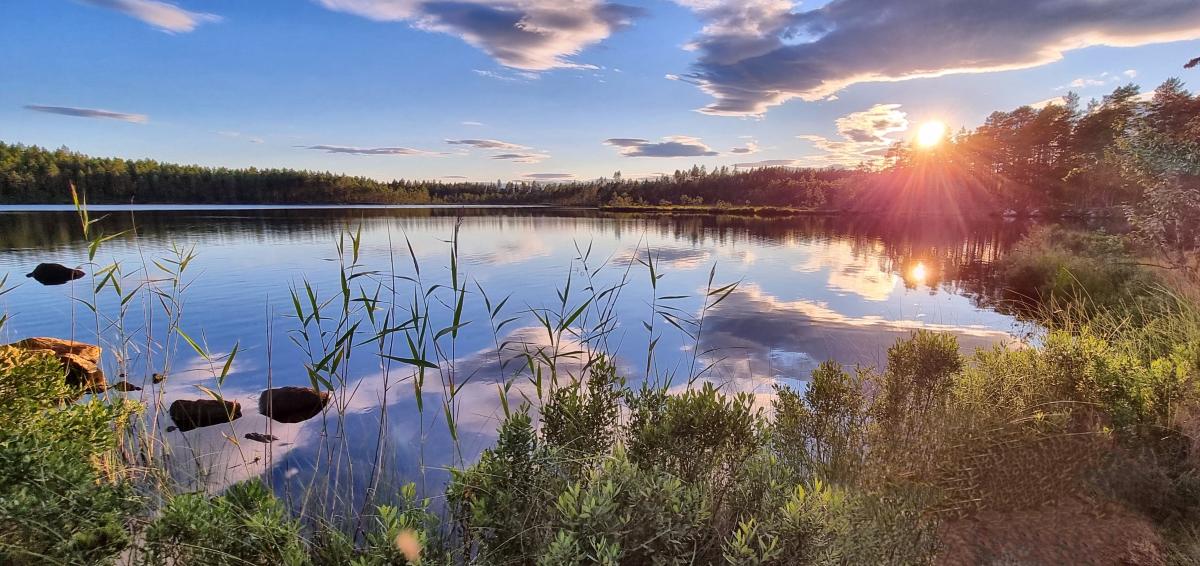 The Rotna Trail Grue Finnskog | Biking | Namnå | Norway