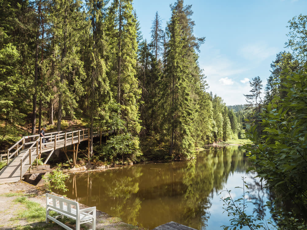 Walking trails at Skien fritidspark | Tour Suggestions | Skien | Norway