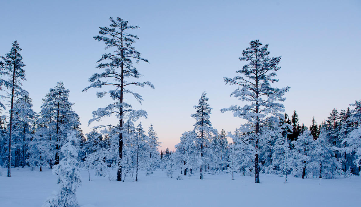 Ringerike - oversikt over skiløyper i Ringerike kommune