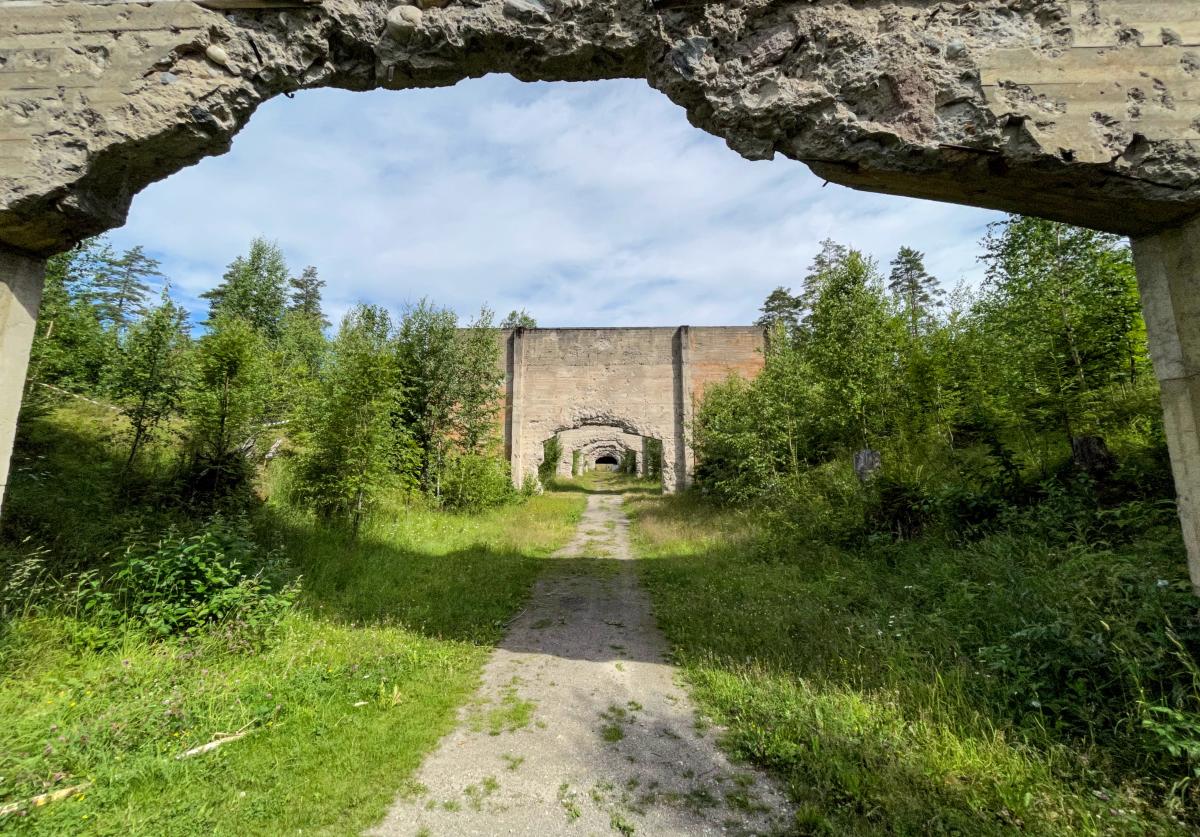 Trandumforest | Cultural Heritage | Mogreina | Norway