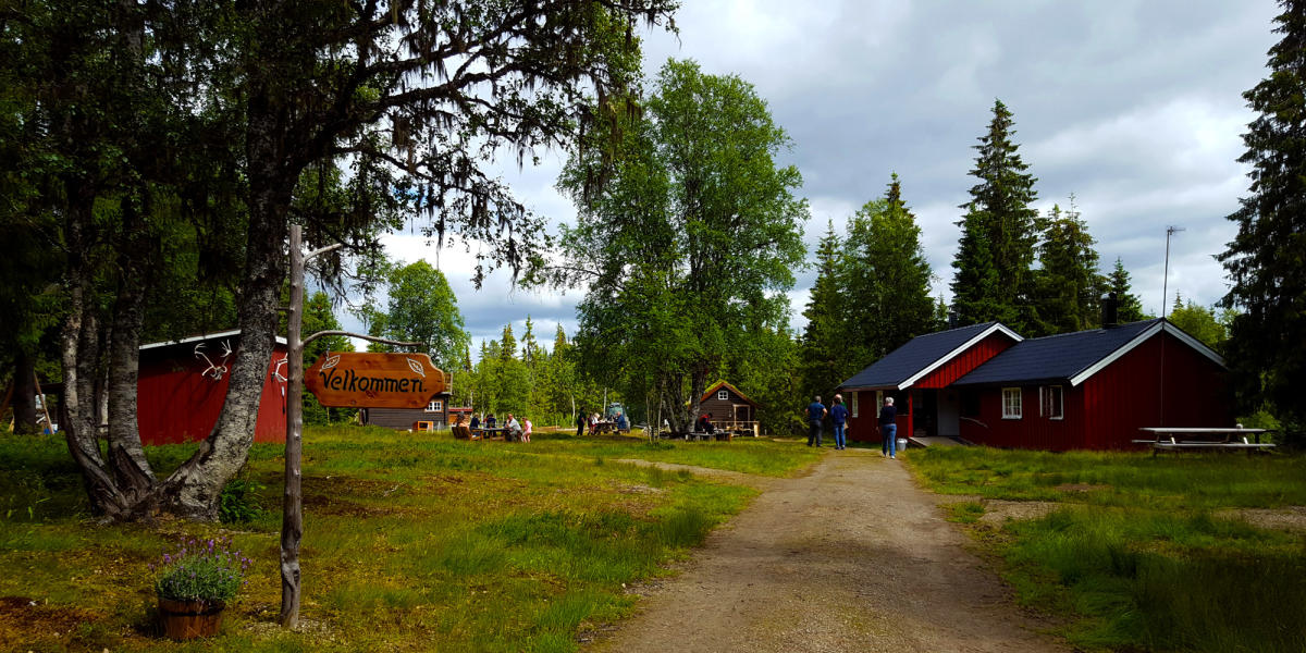 Holsingseteren/Holsing Berg Farm | Farm Activities | Snåsa | Norway