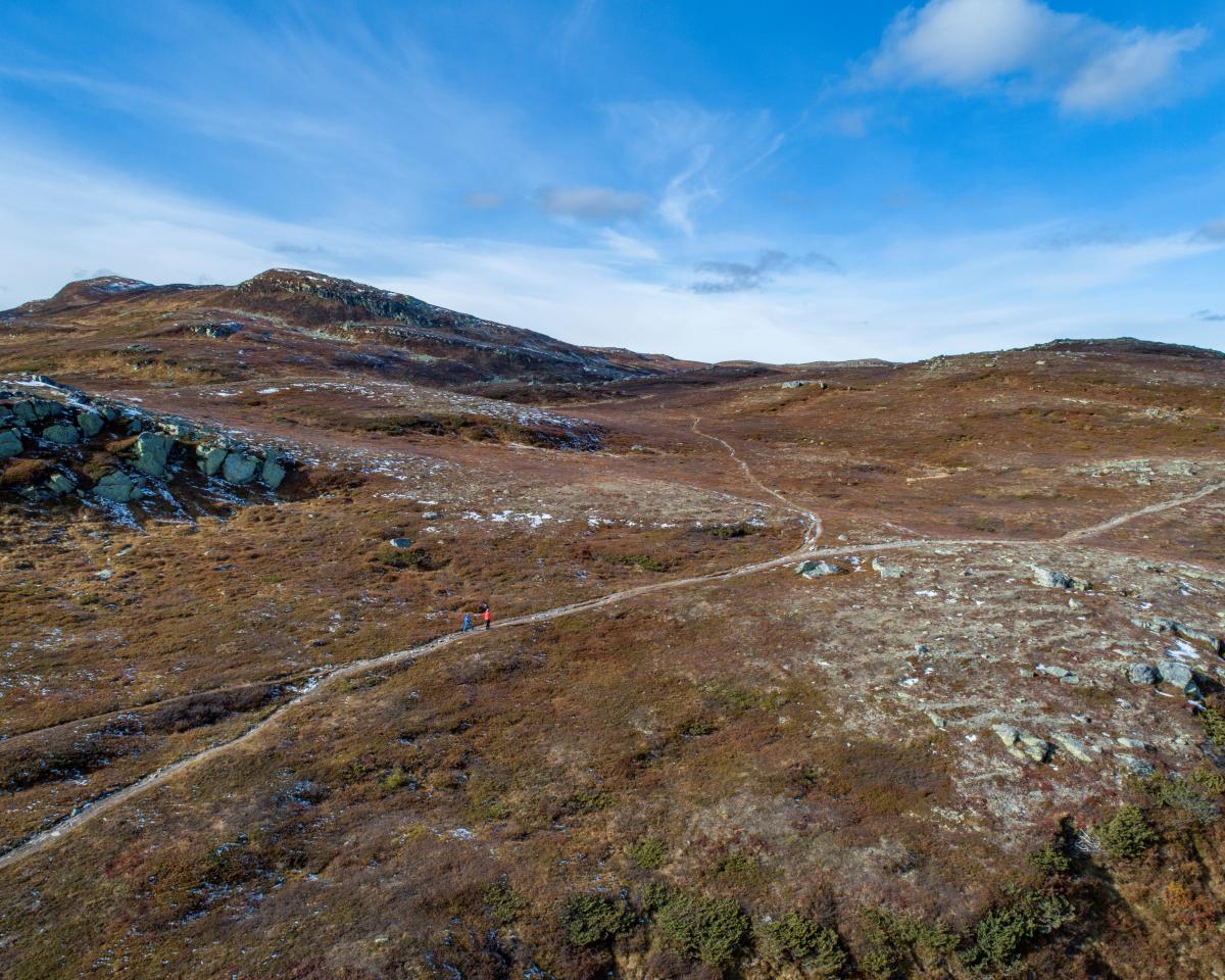 Spåtind 1414 m a.s.l. | Hiking | Nord-Torpa | Norway