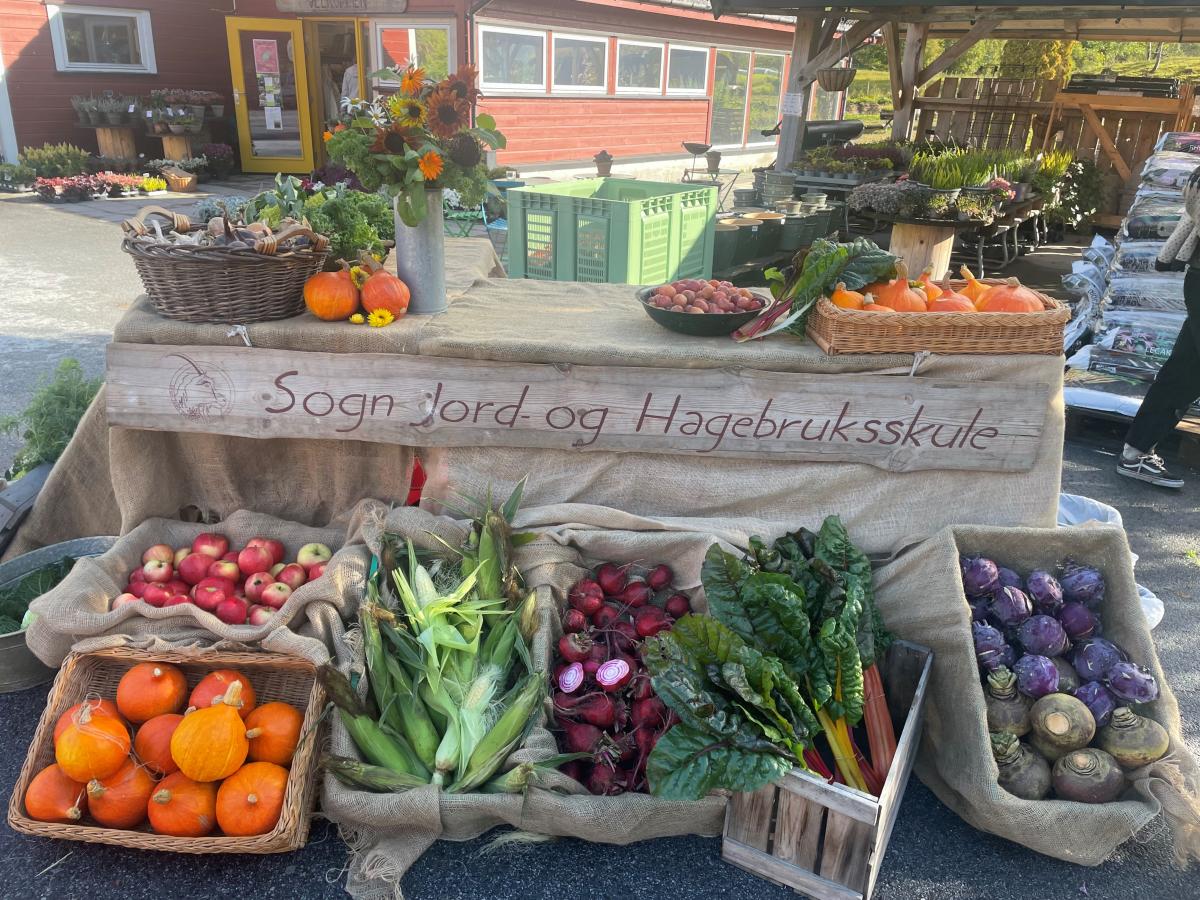 Sogn Jord- og Hagebruksskule | Food Traditions | Aurland | Norway