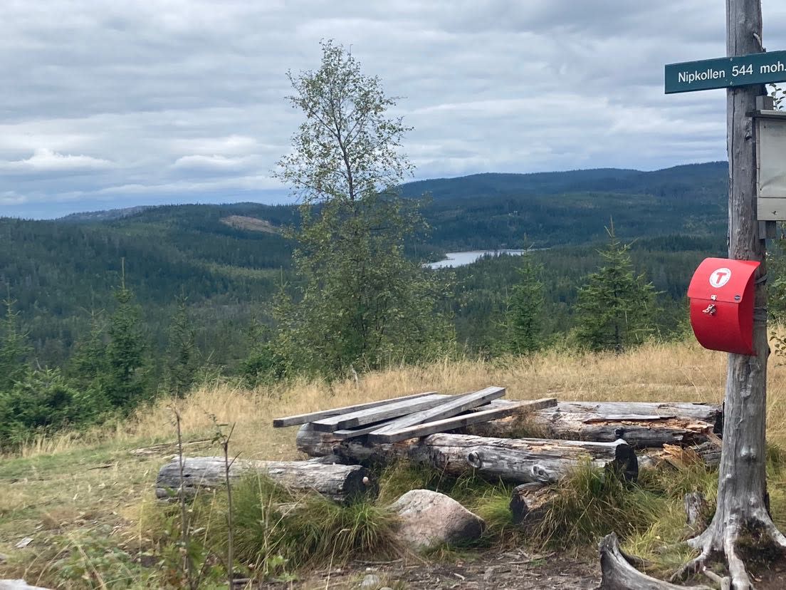 Hiking to Nipkollen in Nannestad | Tour Suggestions | Maura | Norway
