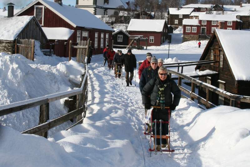 Kick-sled rental | Other sports | Røros | Norway