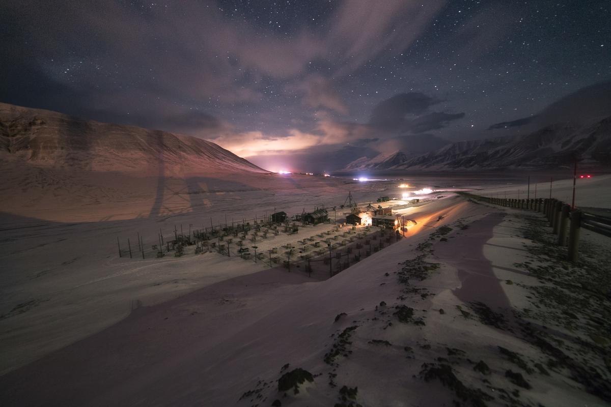 Explore the polar night and visit the Basecamp huskies - Basecamp ...