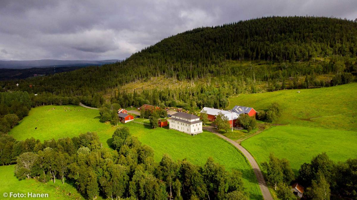 Mokk Gård, accommodation | Hostels & Guesthouses | Steinkjer | Norway