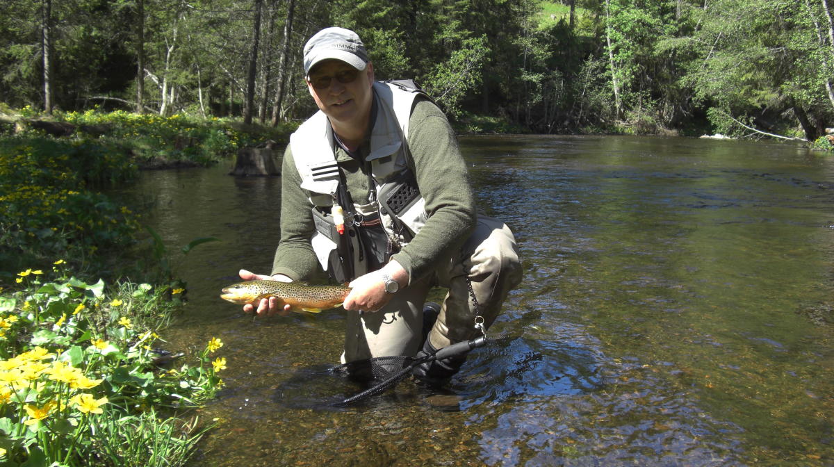 Fiske i Gjøvikregionen