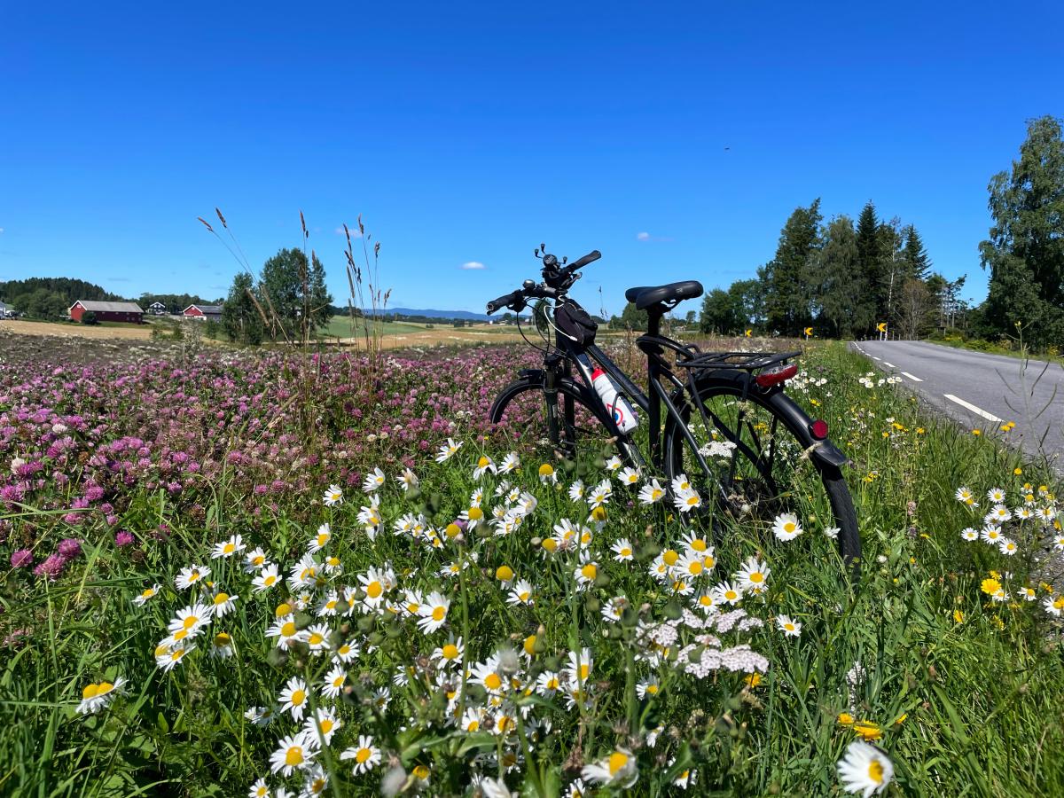 Sykkeltur på Romerike-Jessheim/Kløfta tur/retur | Biking | Jessheim ...