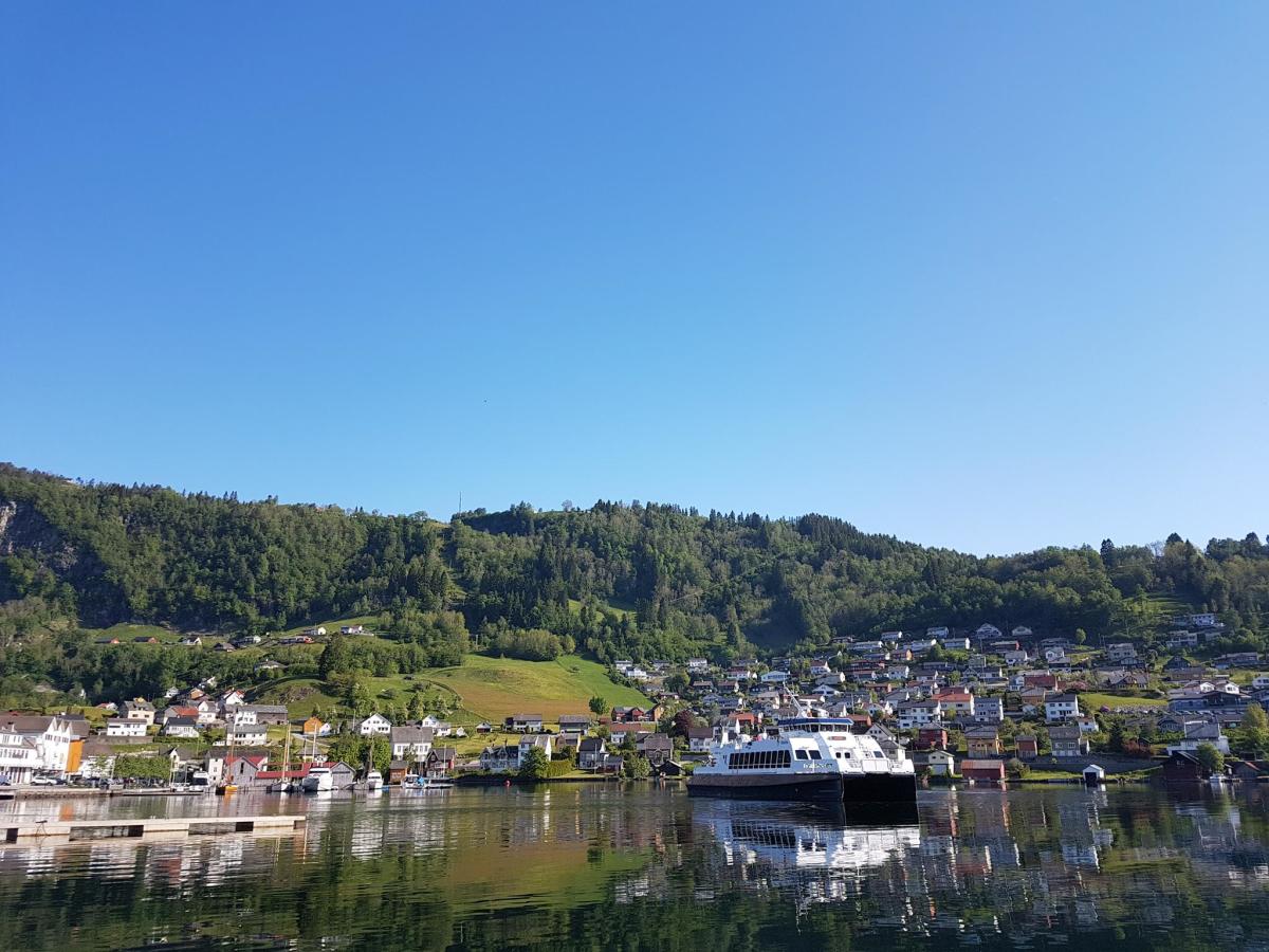 Hardangerfjord sightseeing | Sightseeing | Norheimsund | Norway