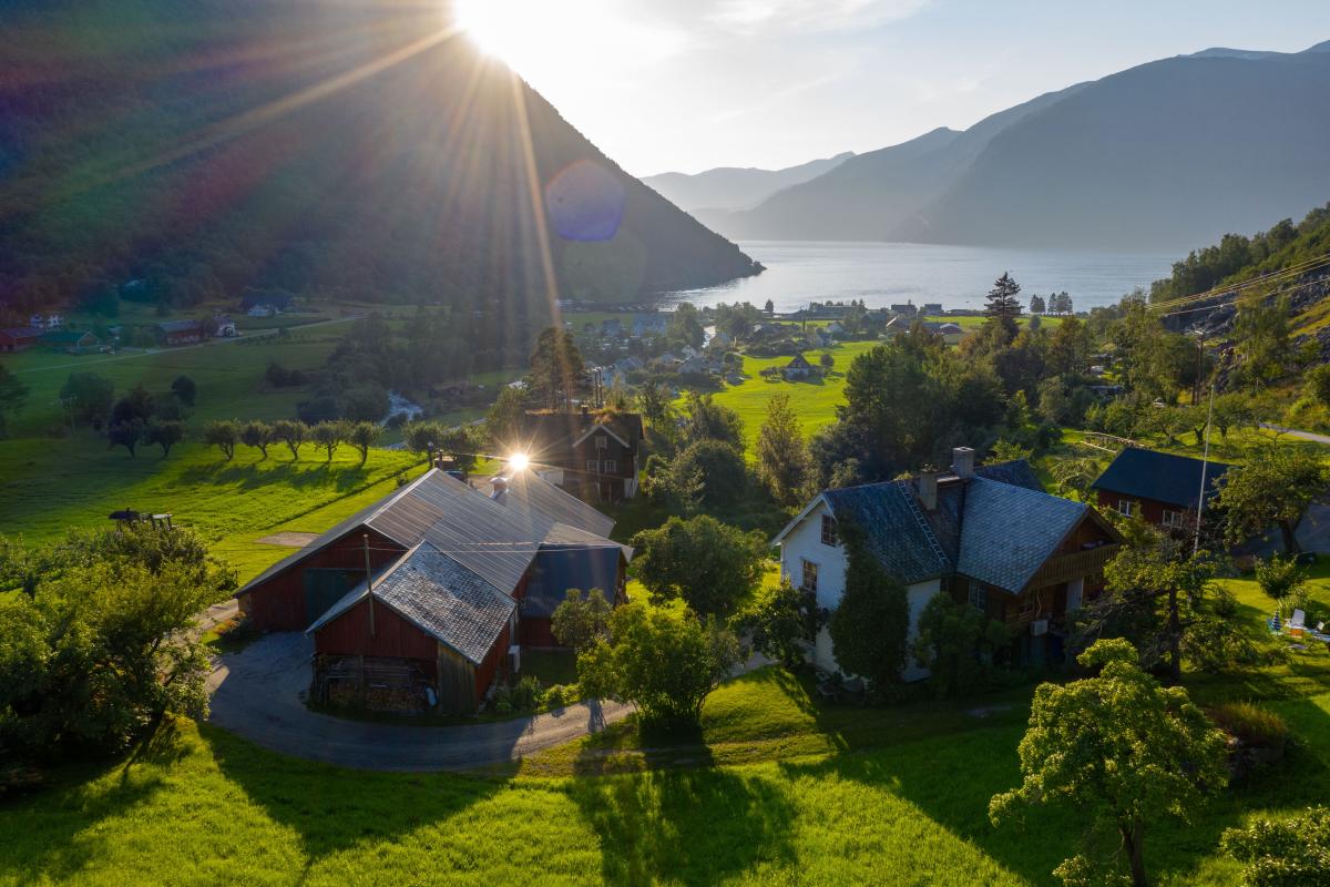 Sansetur for øye og gane - Norddal | Nature Attractions | Norddal | Norway
